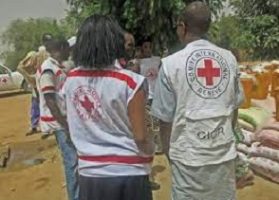 Libération des deux employés de la Croix-Rouge enlevés au Mali